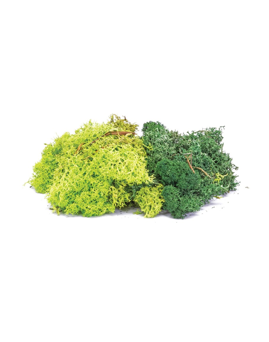 HORNBY OO ACCESSORIES - 7194 SCALE SCENICS - LICHEN - GREEN MIX 35g ...